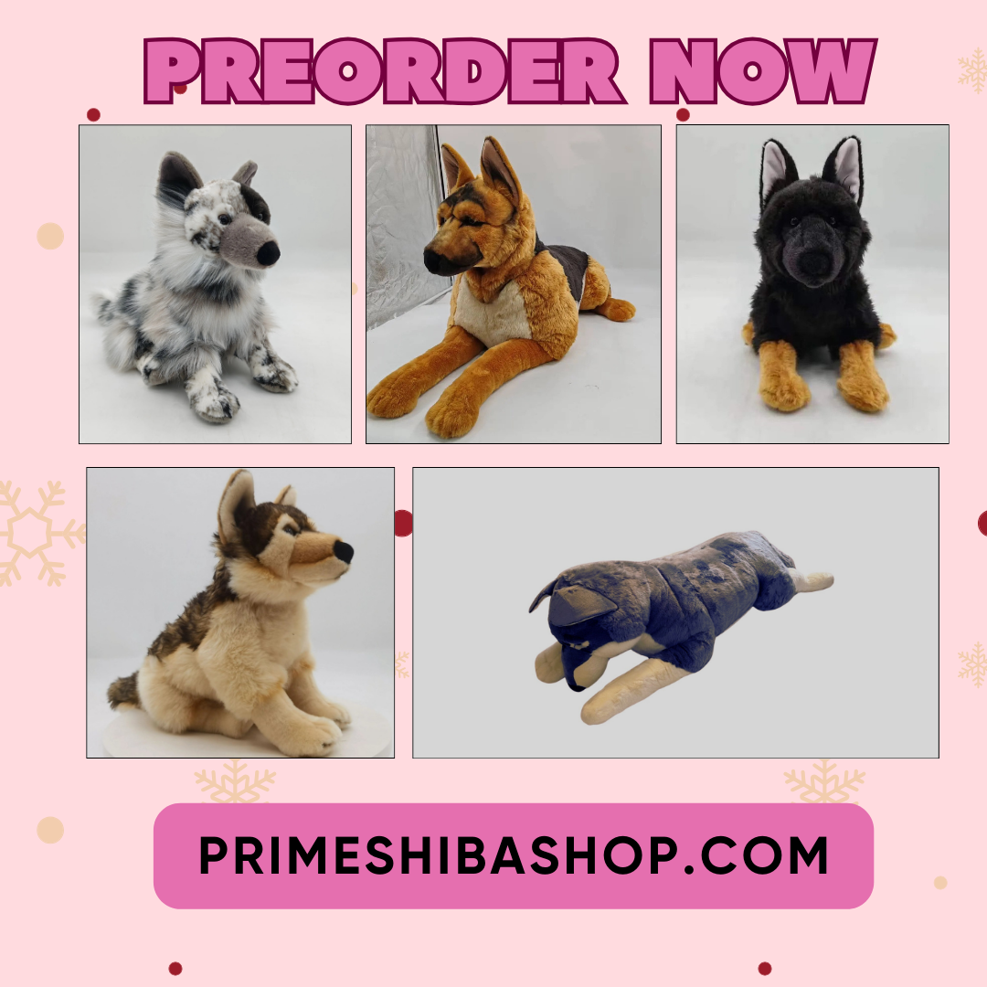 Pre Orders – Prime Shiba Shop